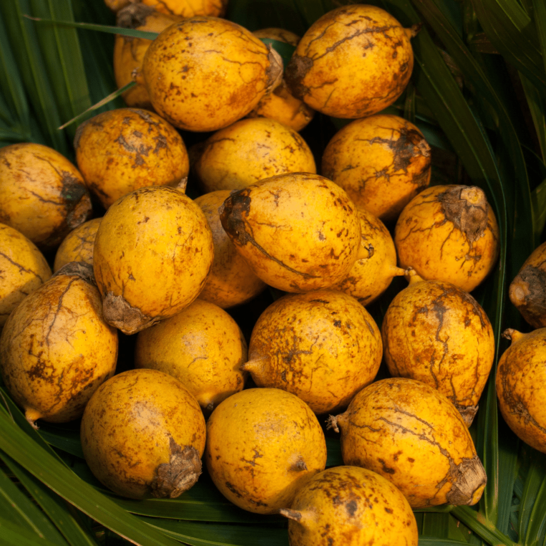 Discover the Brazilian Beauty Secret: Tucuma Oil – JustUs Skincare