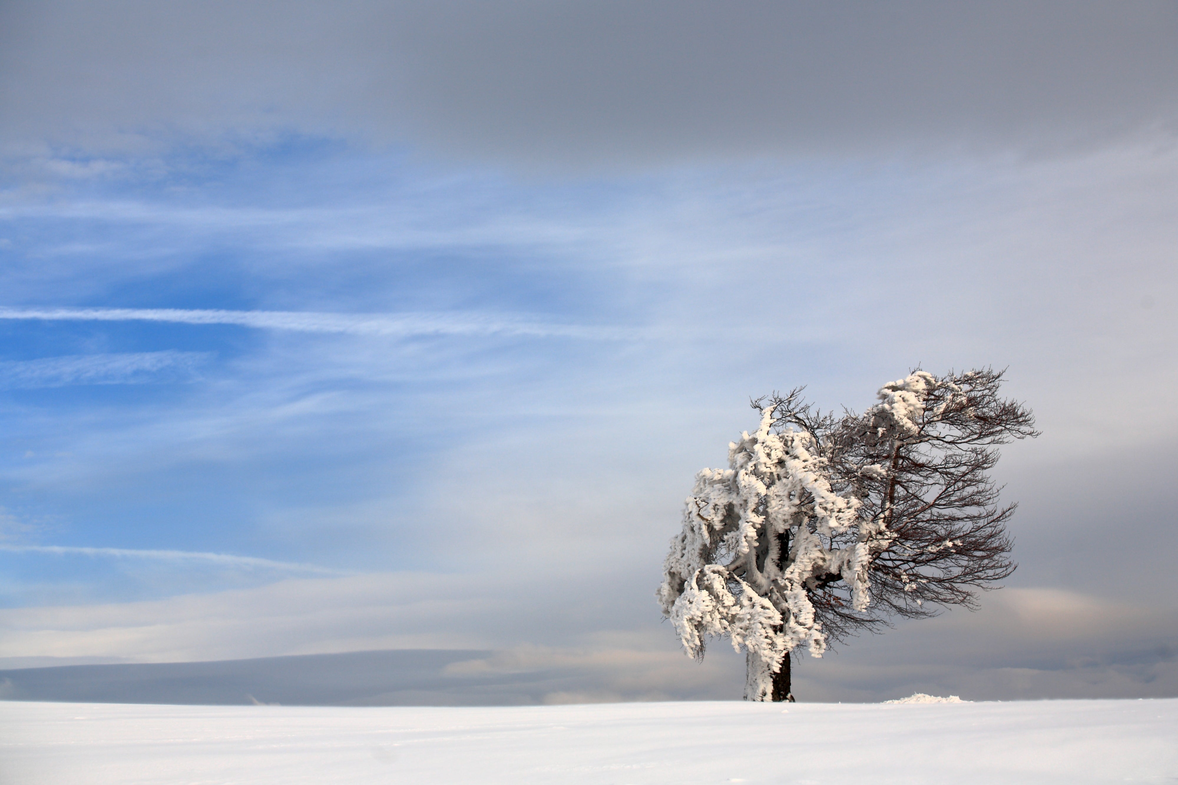 Climate Proof: Handling a Dry + Cold Climate – JustUs Skincare